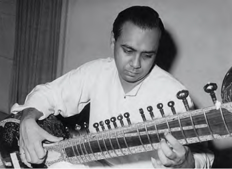 Welcome To Pandit Arvind Parikh